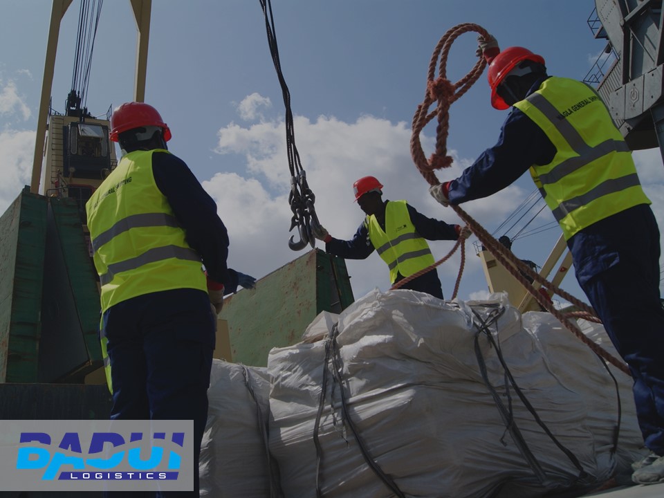 The Badui - Logistics Company